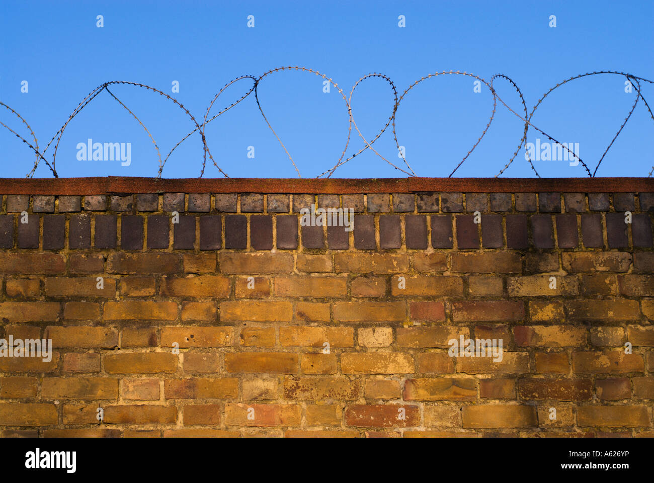 Barbed wire on a brick wall set against a blue sky Stock Photo - Alamy