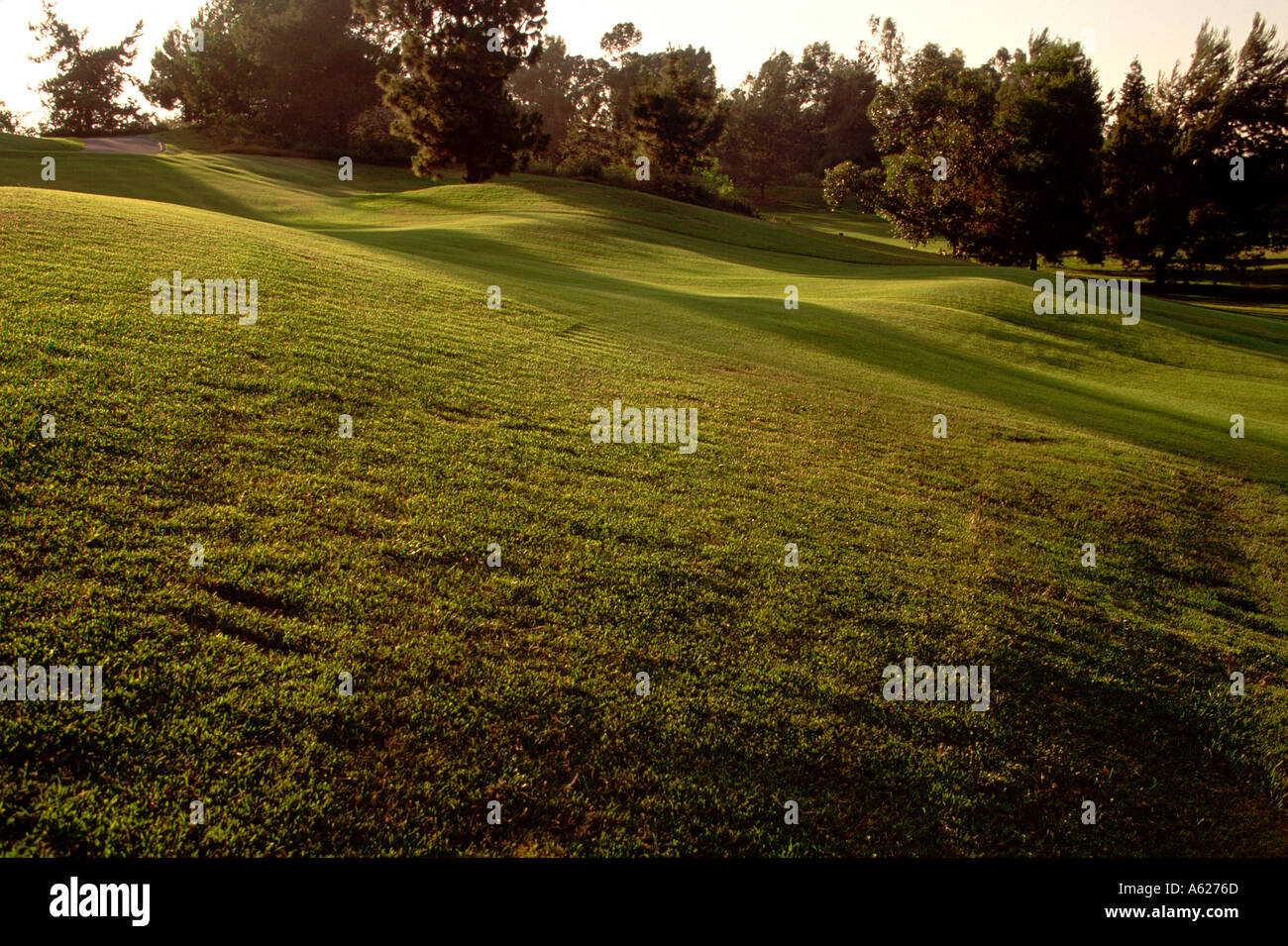 Golfing industry hi-res stock photography and images - Alamy
