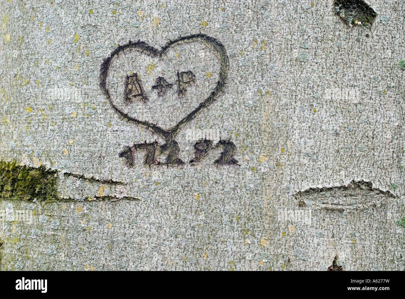 Initials love heart carved tree hi-res stock photography and images - Alamy