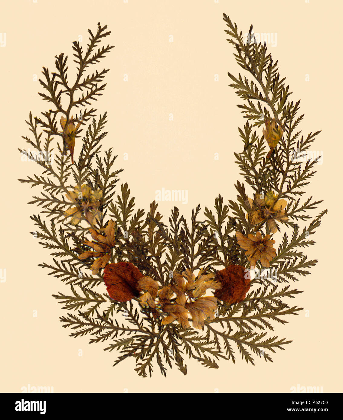 Wreath in U shape Stock Photo - Alamy