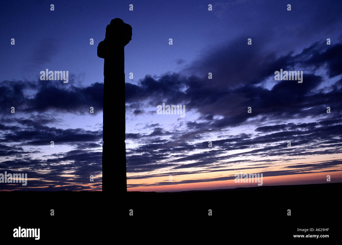 Young ralph cross Stock Photo - Alamy