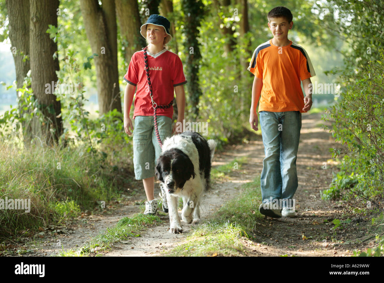 two young boys walking their dog in a forest Stock Photo - Alamy