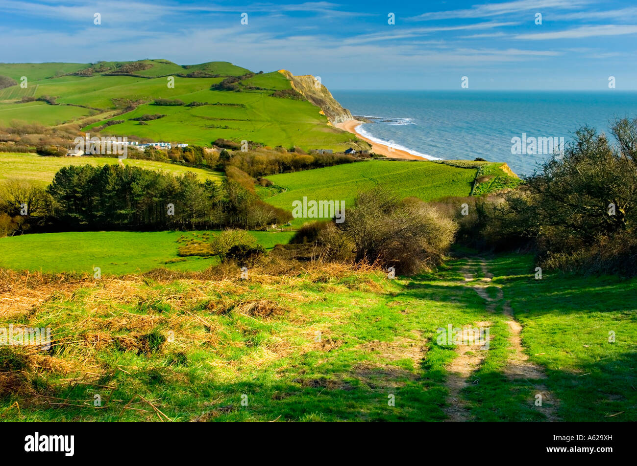 Golden cap dorset spring hi-res stock photography and images - Alamy