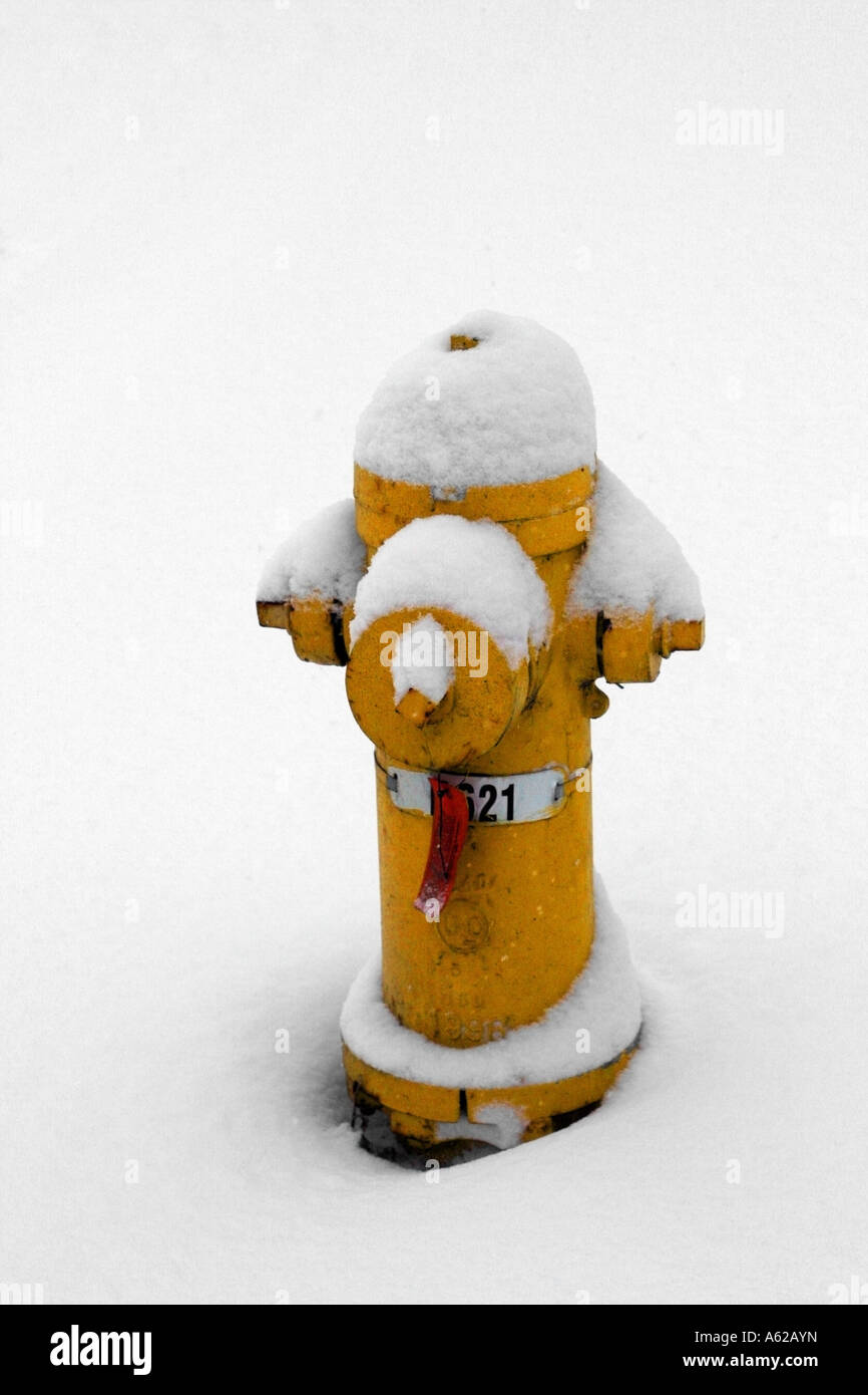 A fire hydrant covered in fresh powered snow Stock Photo - Alamy