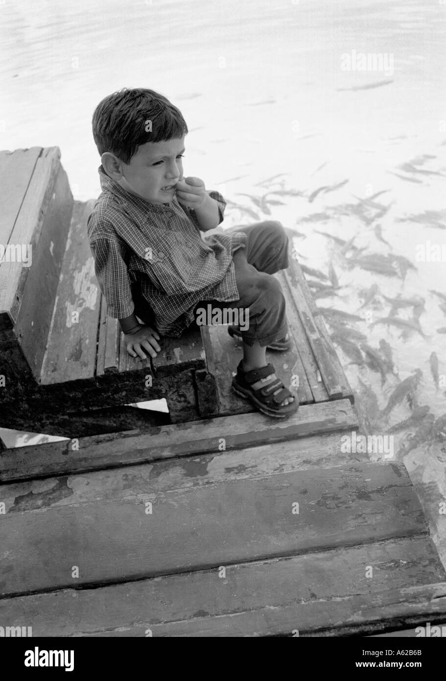 boy sitting on wooden steps leading into the sea surrounded by fish ...