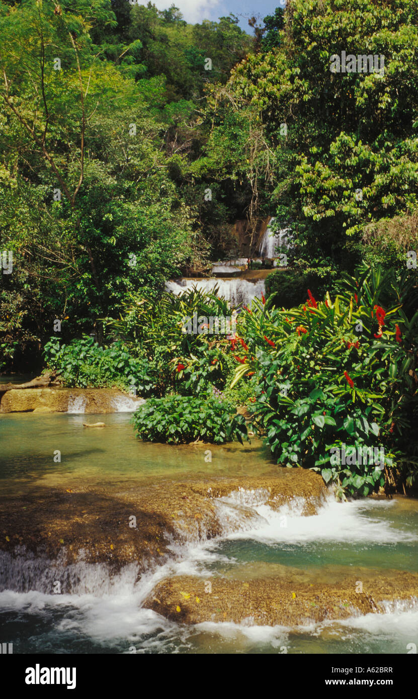 Ys Waterfall Jamaica High Resolution Stock Photography and Images - Alamy