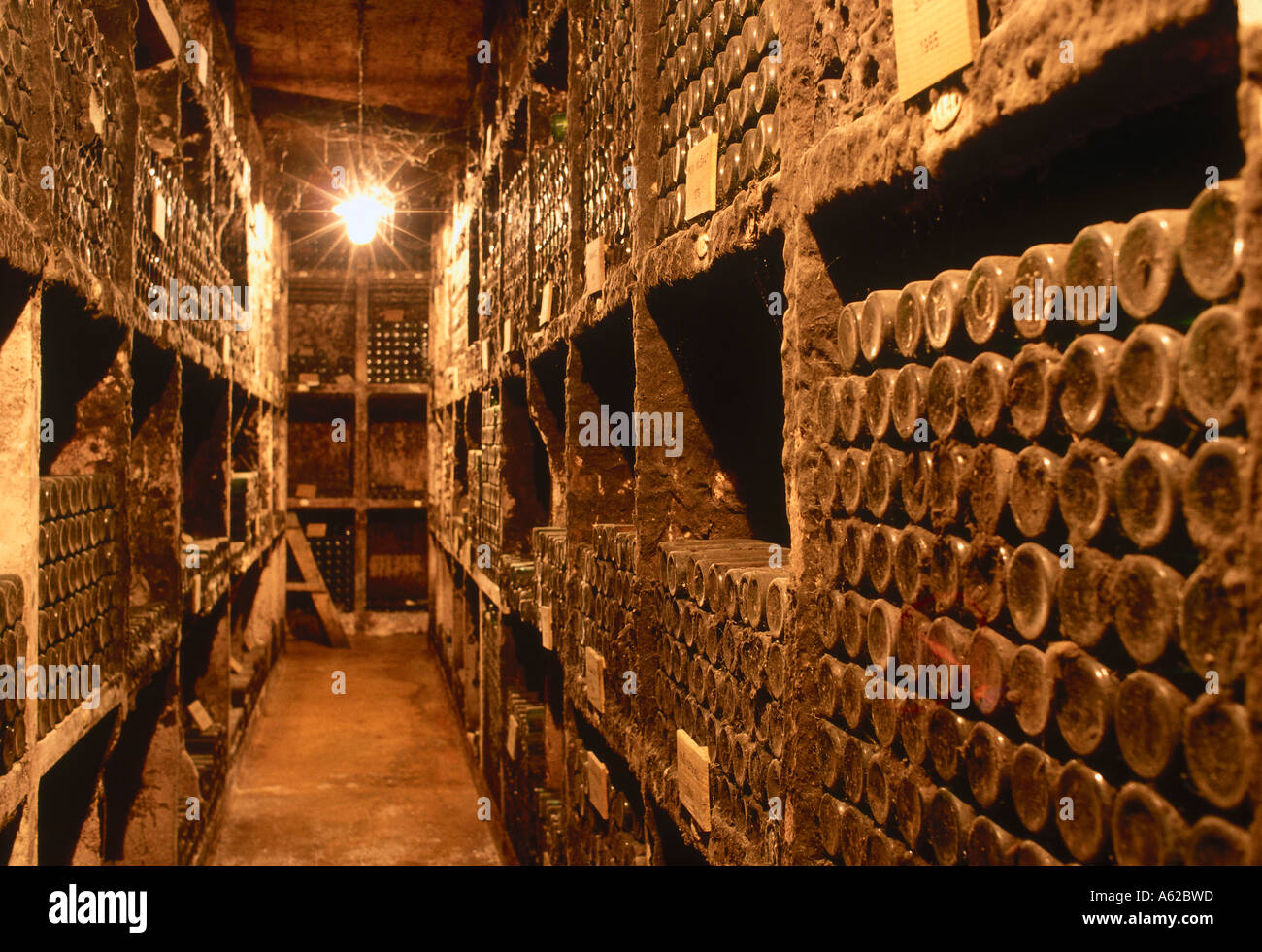 Wine bottles in dusty cellar Stock Photo - Alamy