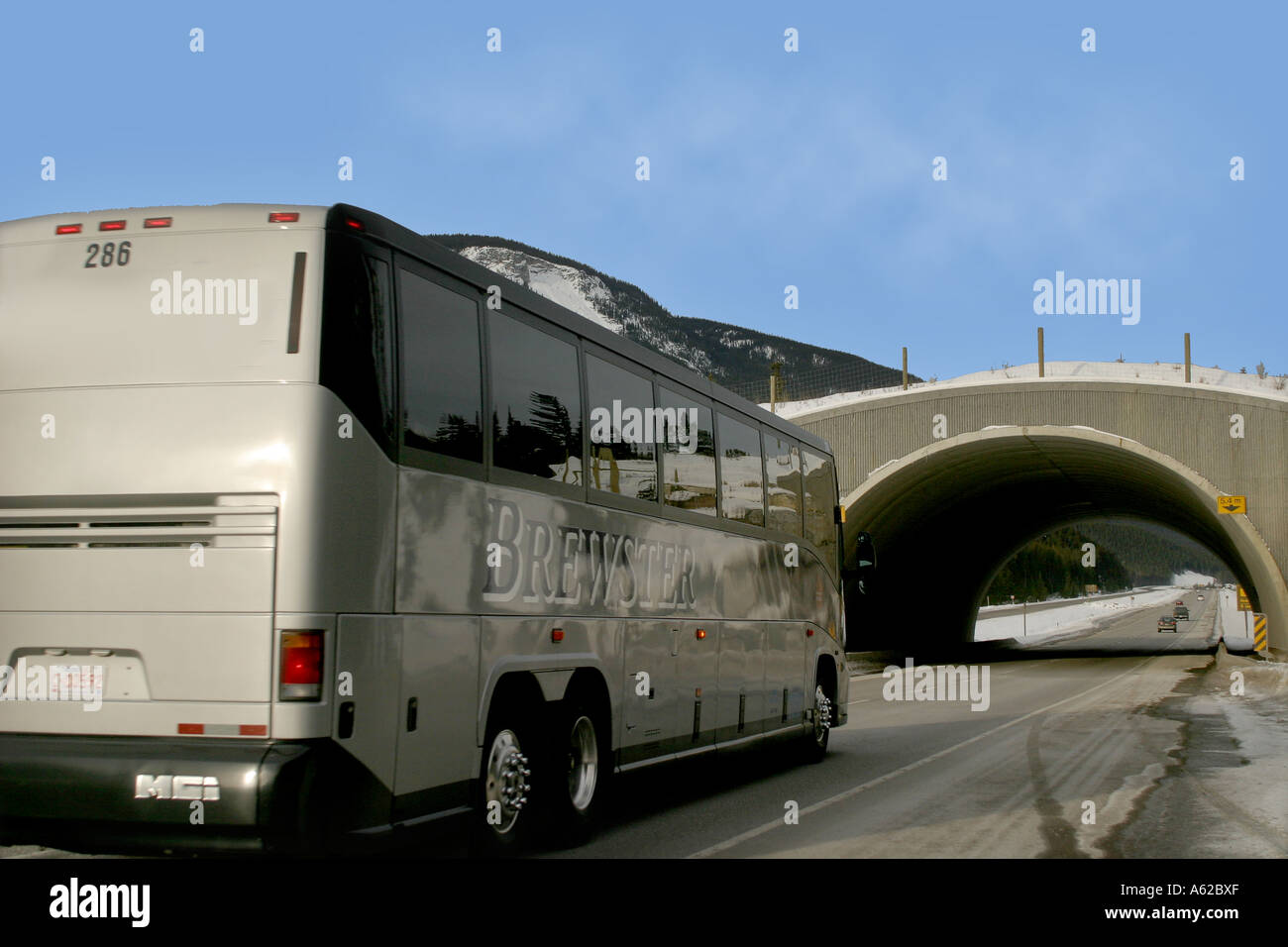 Wildlife Overpass Banff National Park Stock Photos & Wildlife Overpass ...