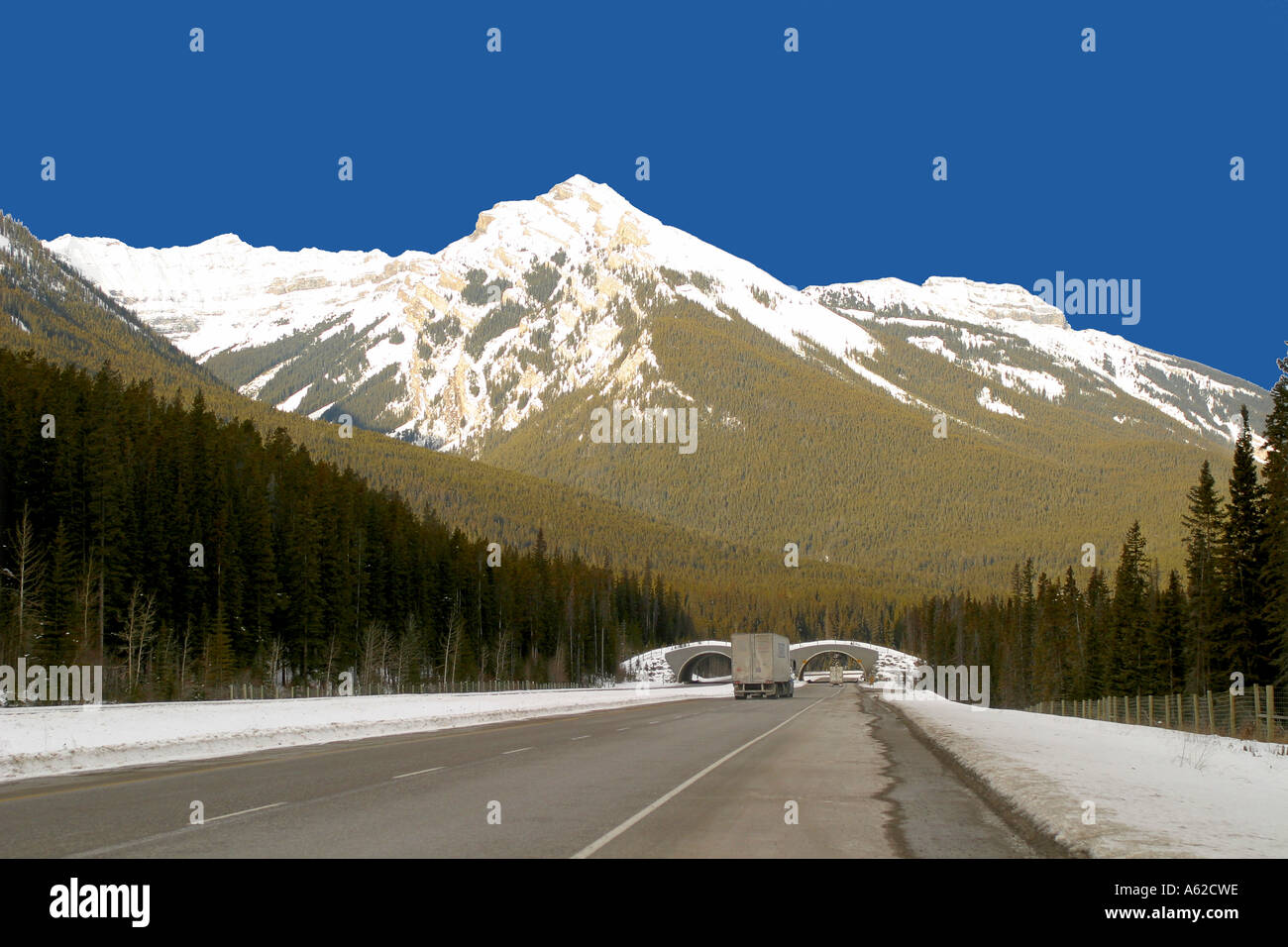 Banff national park overpass hi-res stock photography and images - Alamy