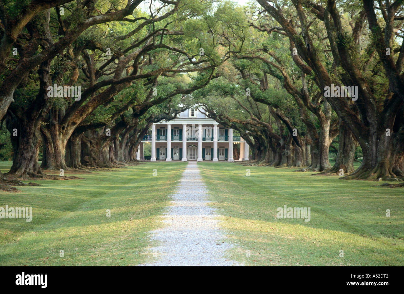 Pathway towards mansion, Oak Alley Plantation Mansion, Vacherie ...