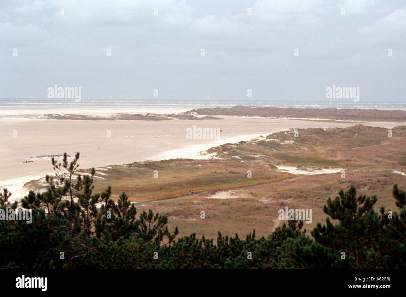 Insel terschelling hi-res stock photography and images - Alamy