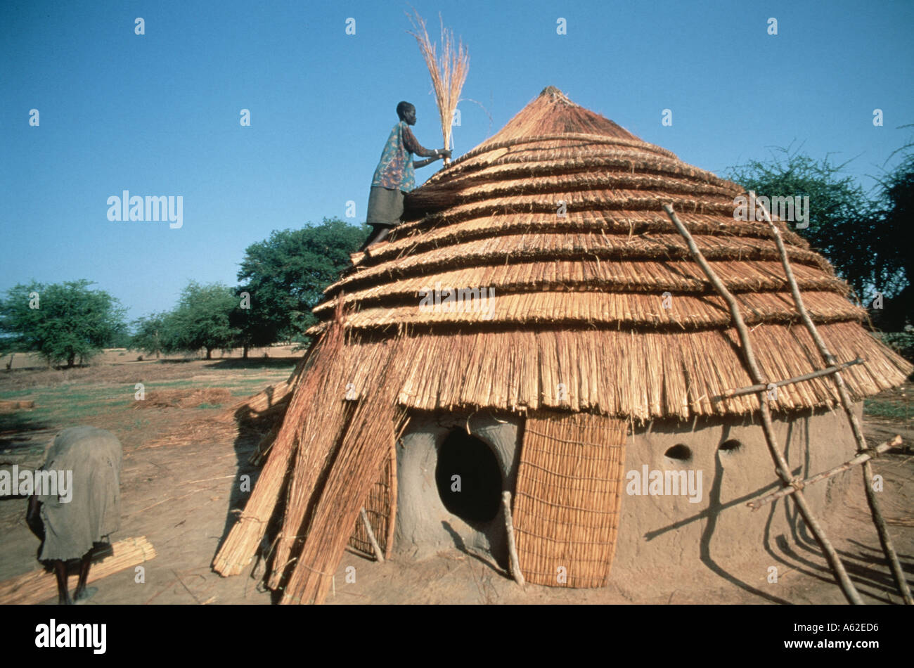 Rebuilding of a southern Dinka hut after burning of village Stock Photo ...