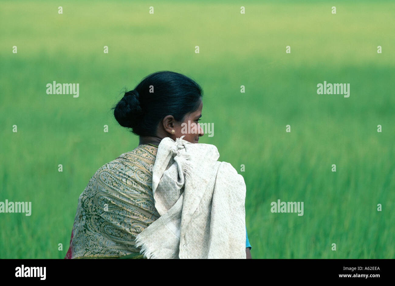 Woman at rest in rice field Stock Photo - Alamy
