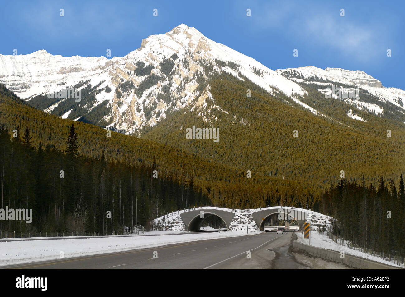 Banff National Park Overpass High Resolution Stock Photography and ...