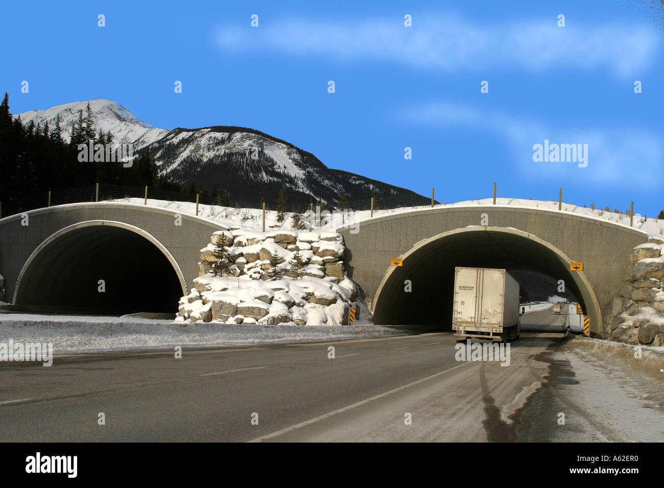 Banff national park overpass hi-res stock photography and images - Alamy