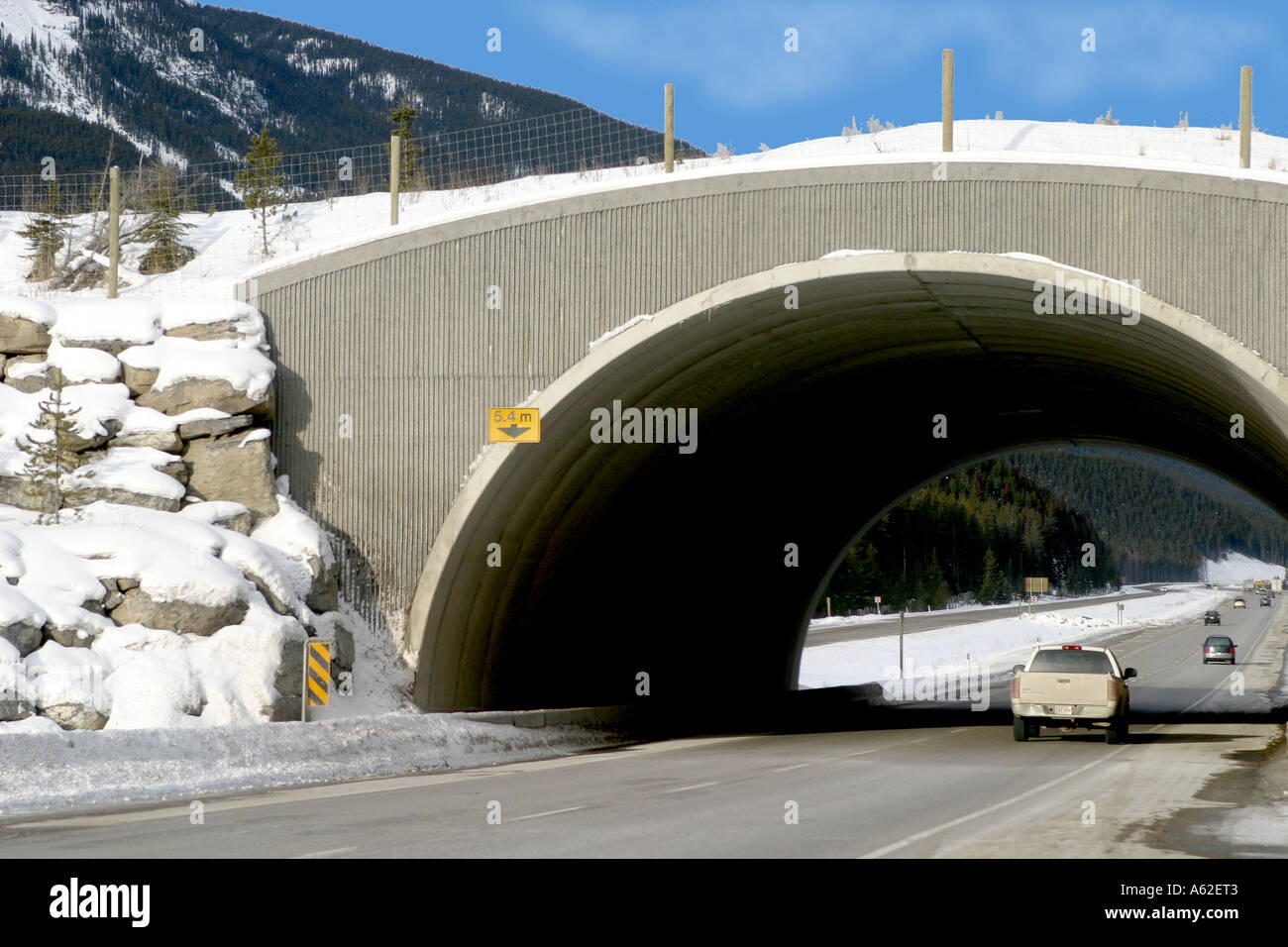 Banff national park overpass hi-res stock photography and images - Alamy