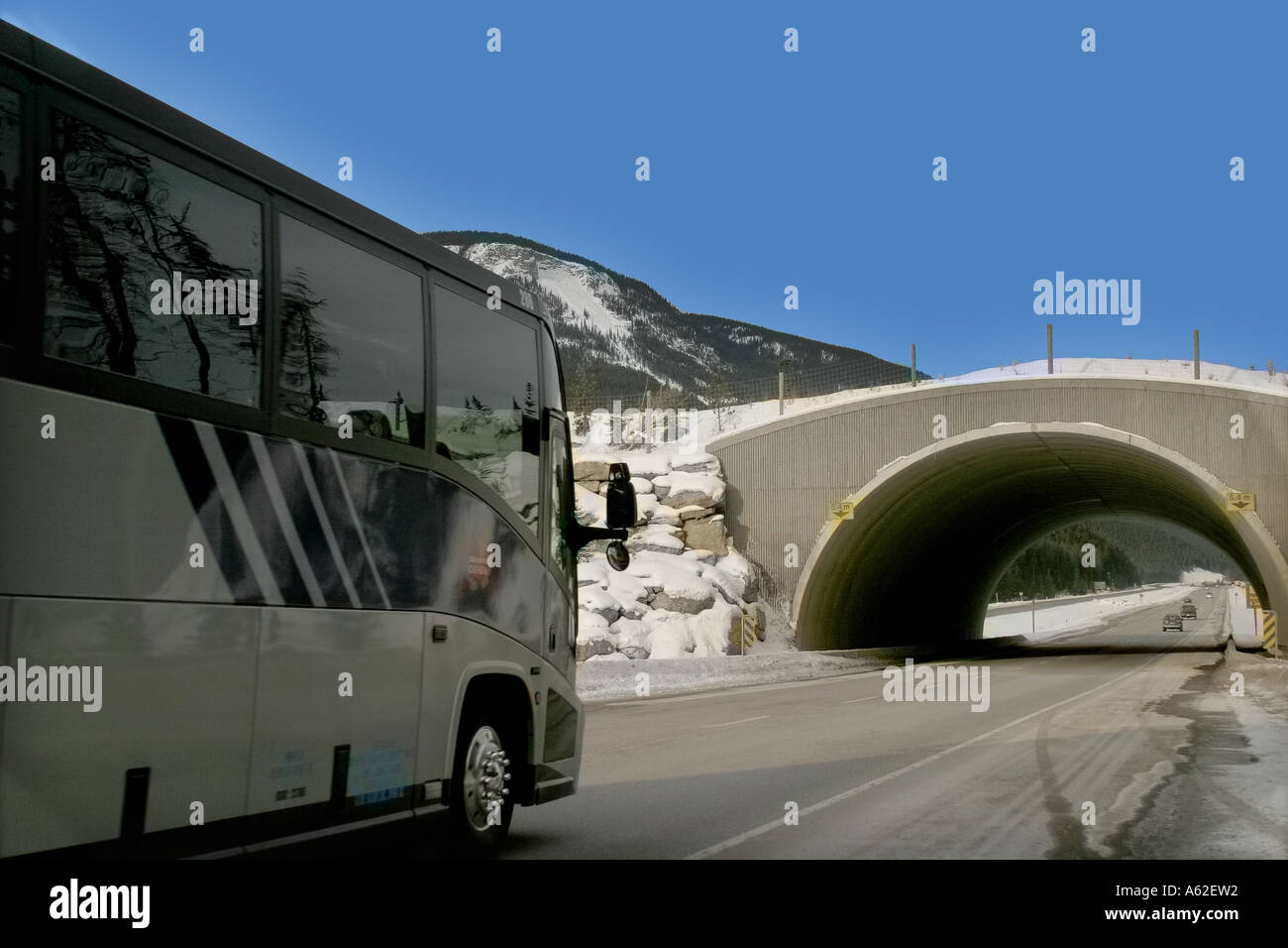 Banff national park overpass hi-res stock photography and images - Alamy