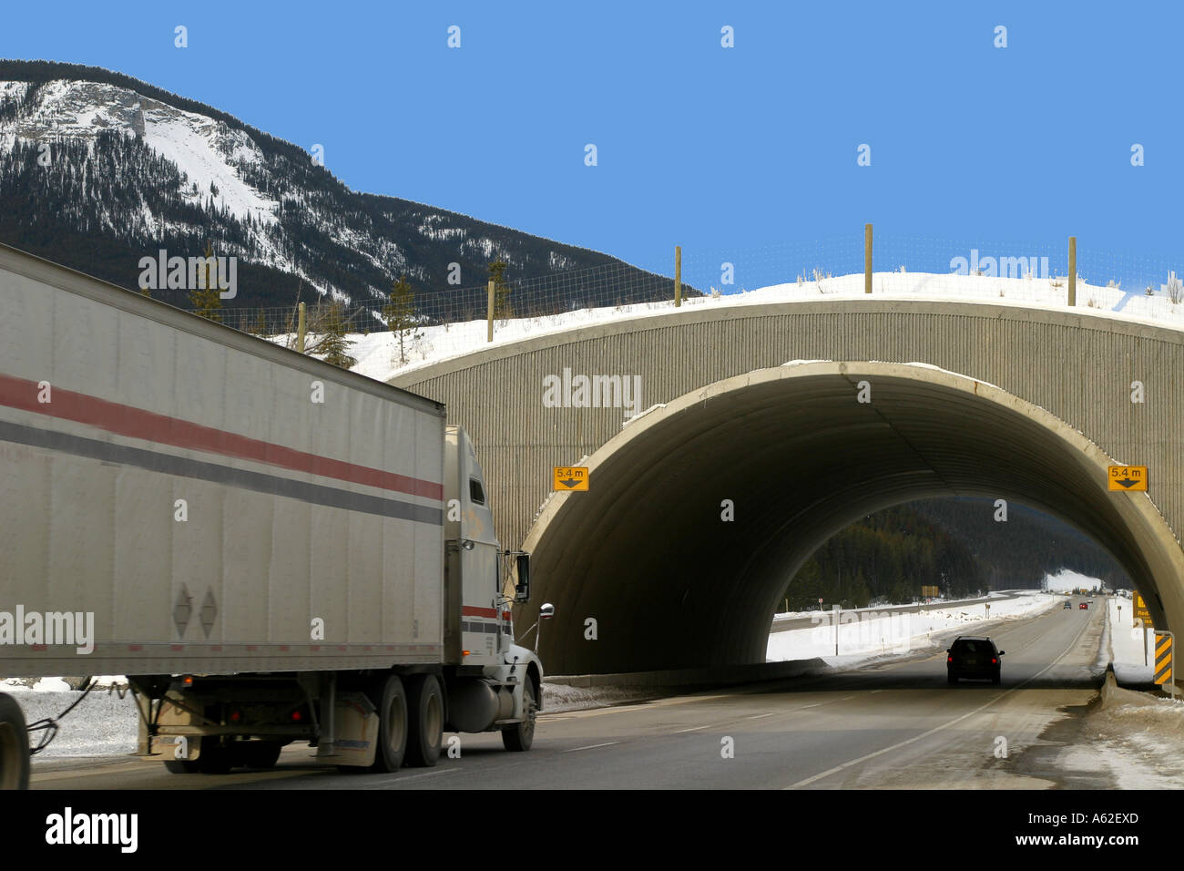 Banff national park overpass hi-res stock photography and images - Alamy