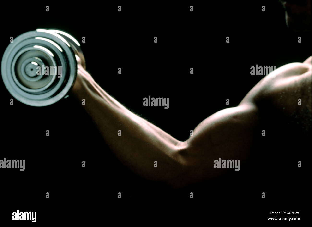 Muscle exercise working graphic hi-res stock photography and images - Alamy