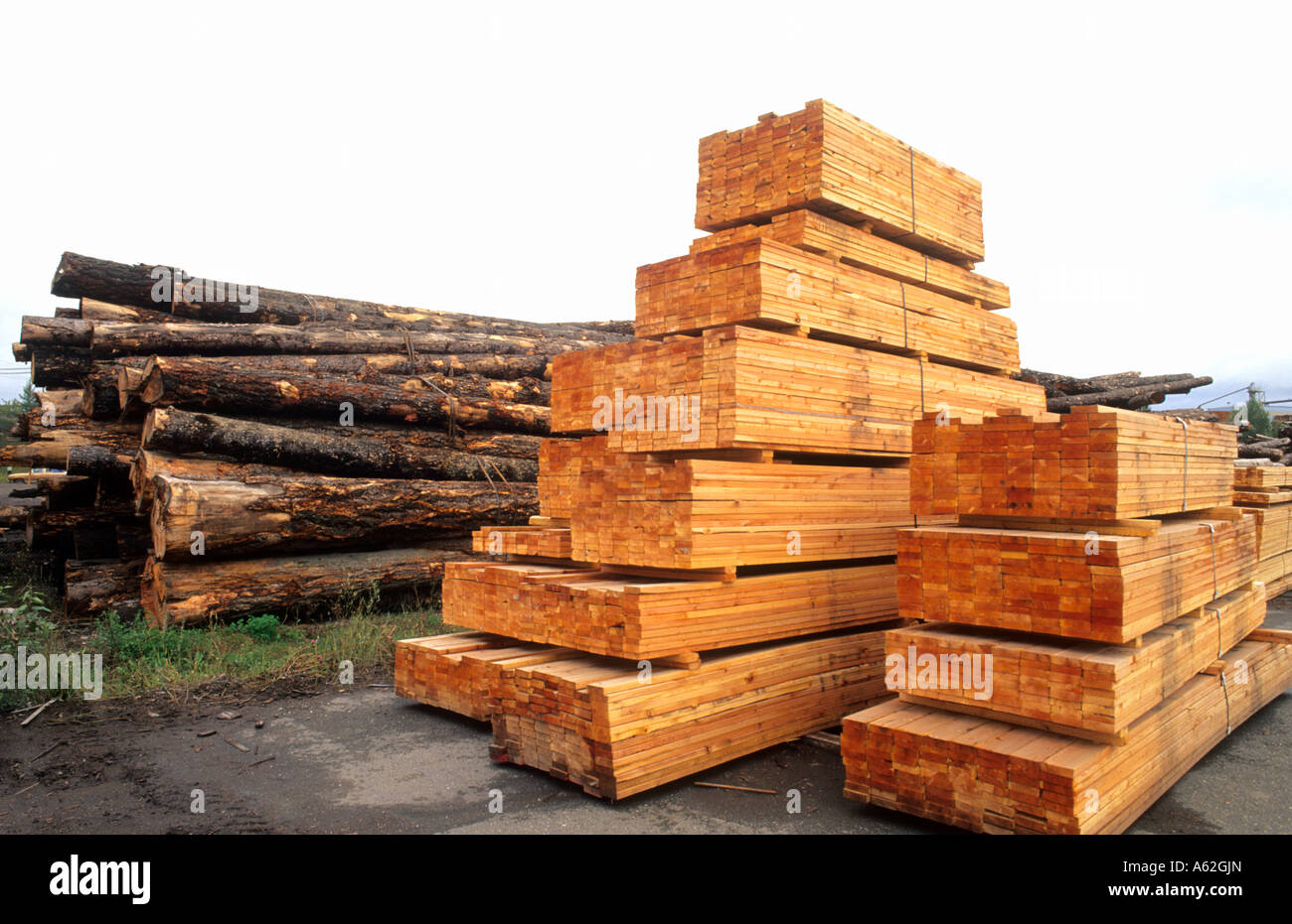 Canada lumber hi-res stock photography and images - Alamy