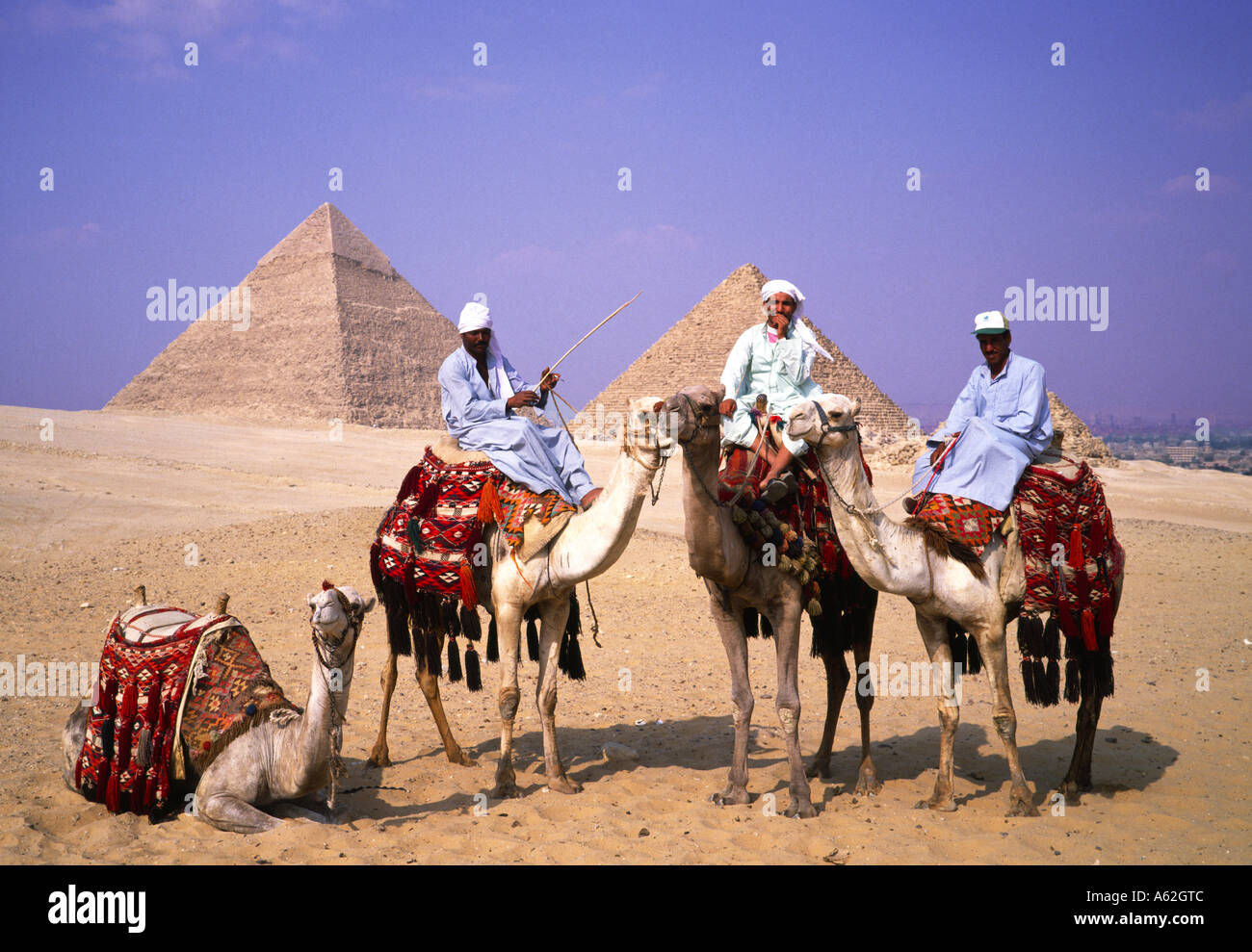 Three men riding camels, Giza Pyramids, Egypt, Africa Stock Photo - Alamy
