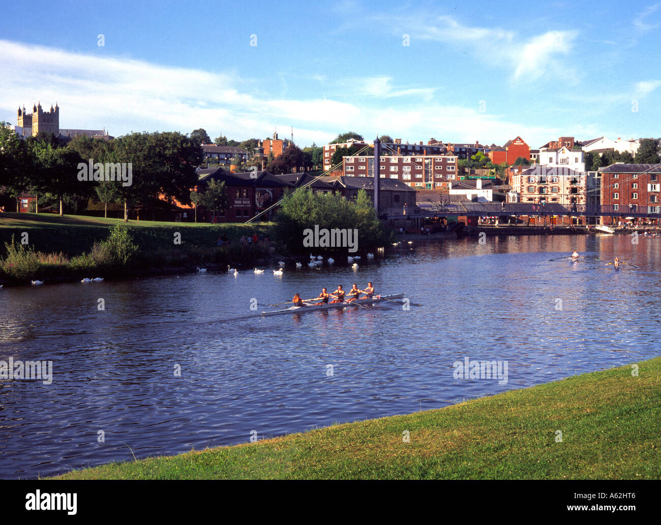 Men rowing boat in river, River Exe, Devon, France, Europe Stock Photo ...