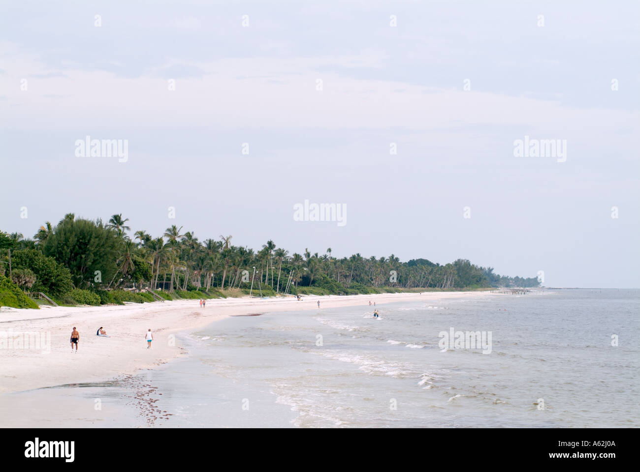 beach Gulf of Mexico coastline Naples Florida tropical beaches ...