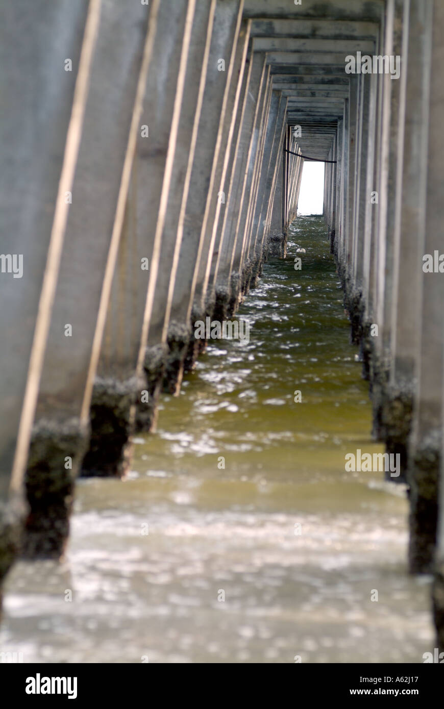 concrete support columns under pier holding up Naples pier Florida ...