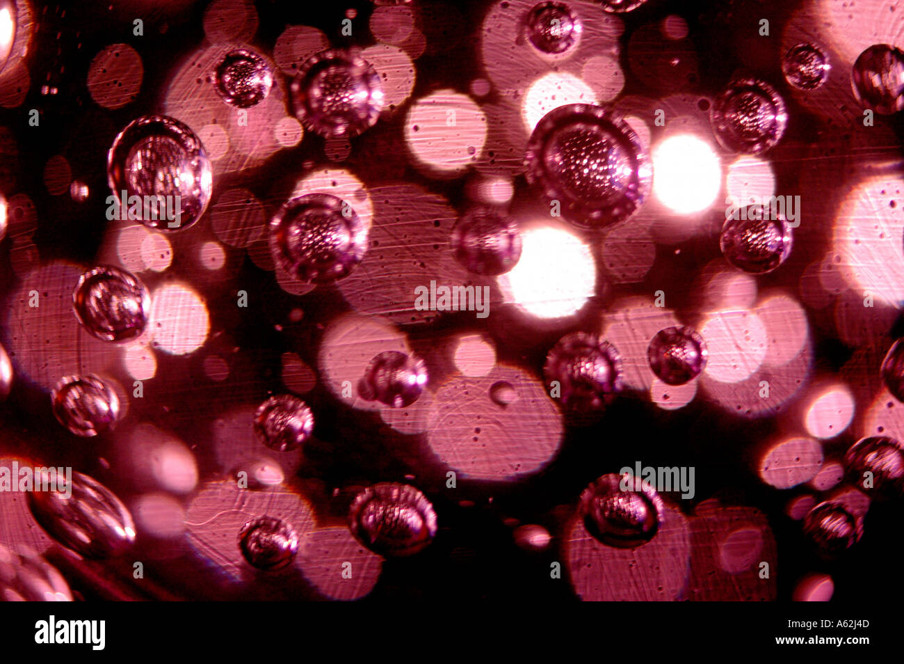 bubbels background texture purple cirles gas bubbles droplets bubbeling ...