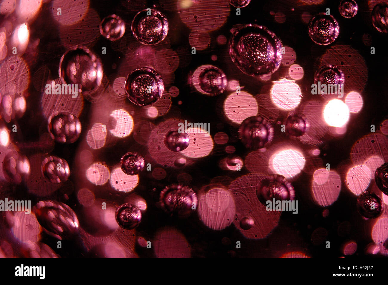 bubbels background texture purple cirles gas bubbles droplets bubbeling ...