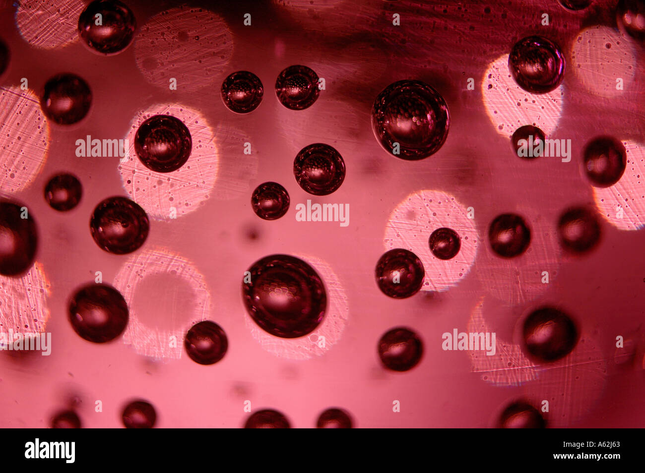 bubbels background texture purple cirles gas bubbles droplets bubbeling ...
