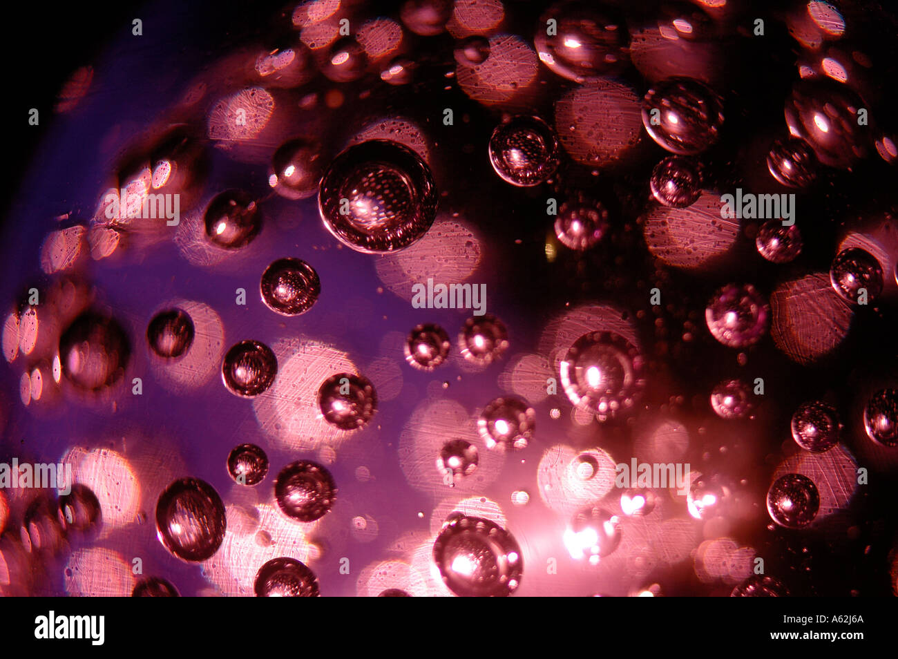 bubbels background texture purple cirles gas bubbles droplets bubbeling ...