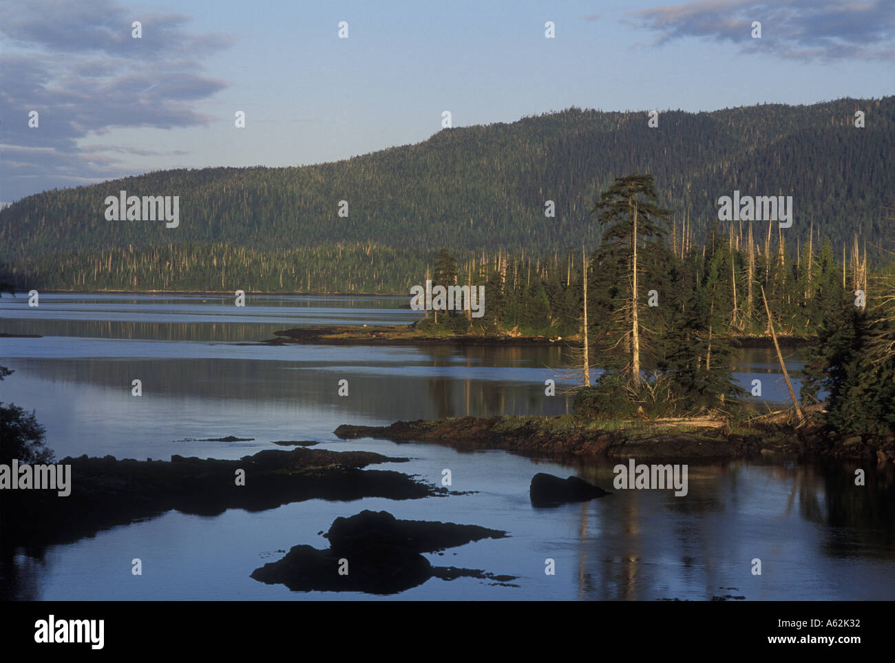 Canada British Columbia Port Edward Morning sun lights channels and ...