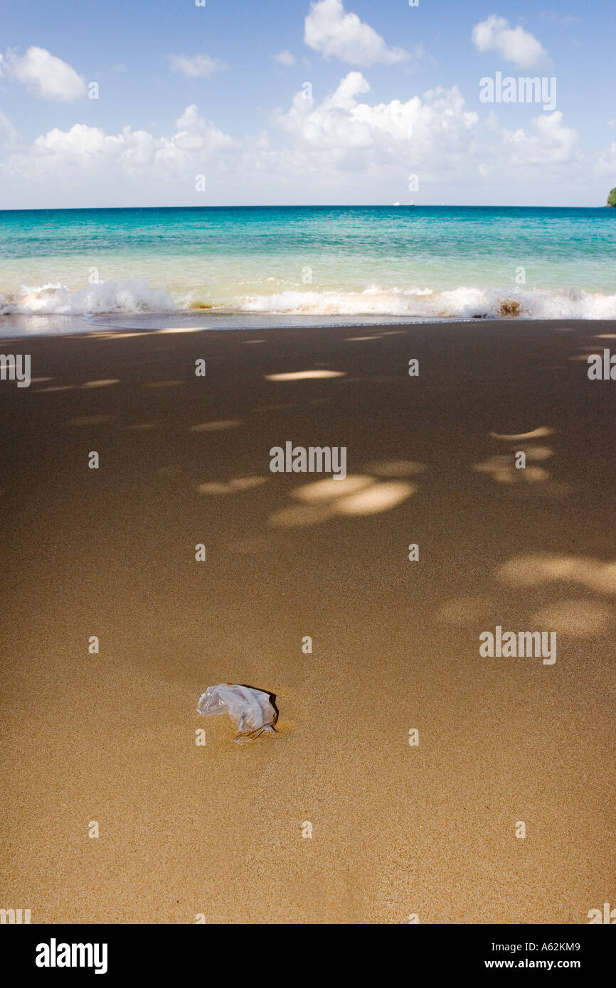 Shoreline Garbage La Toc Beach St Lucia Stock Photo - Alamy