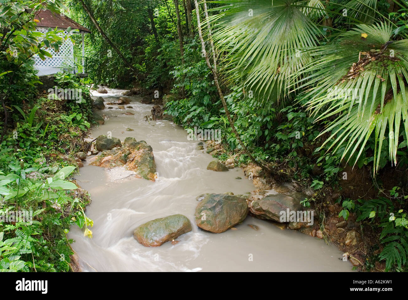 River Diamond Falls and Botanical Gardens St Lucia Stock Photo - Alamy