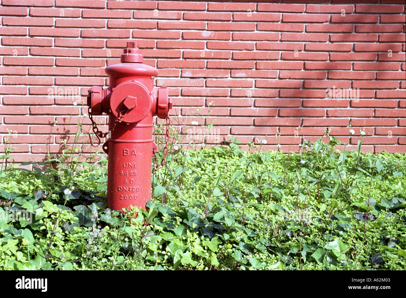 red water hydrant in green foliage by brick wall Stock Photo - Alamy