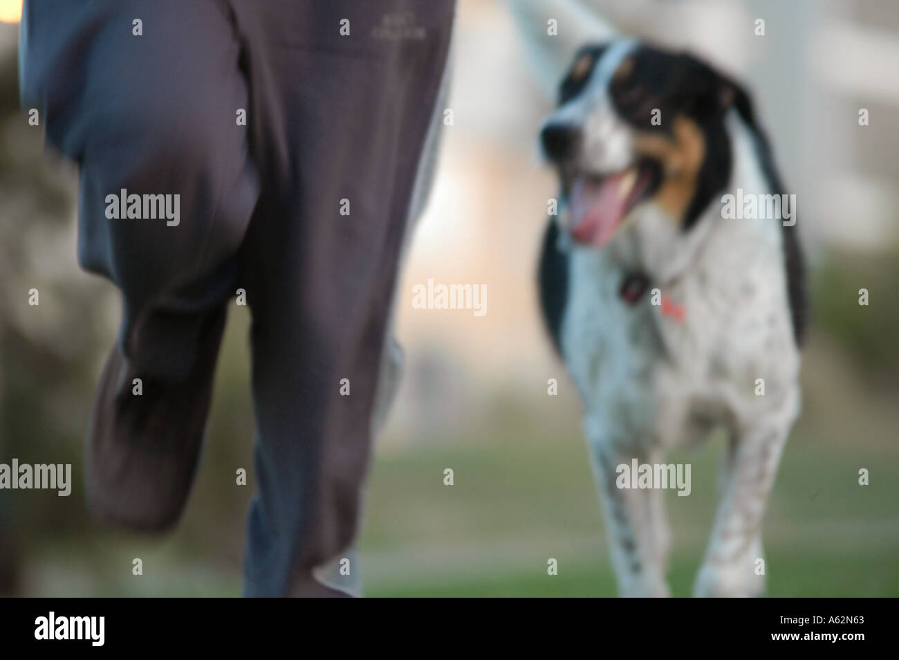 Blurred snapshot of a dog running with his master Stock Photo - Alamy