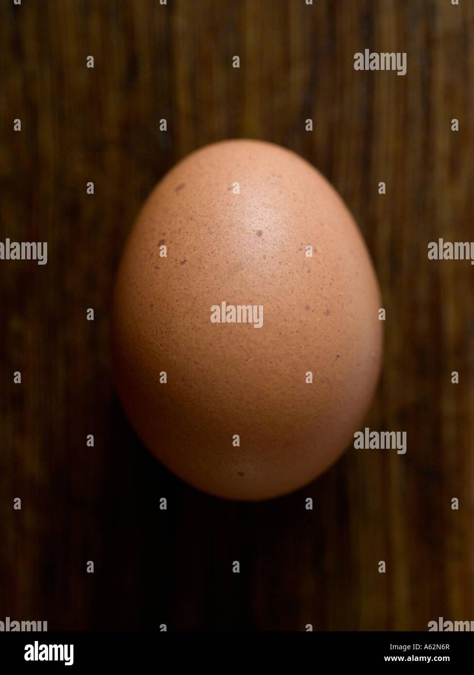 Egg shot with professional medium format digital Stock Photo - Alamy