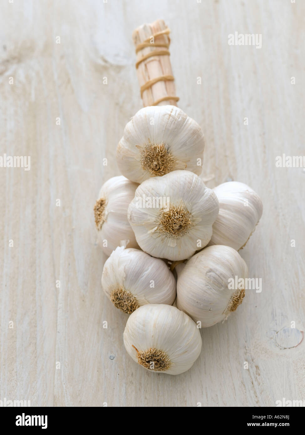 String of garlic shot with professional medium format digital camera ...