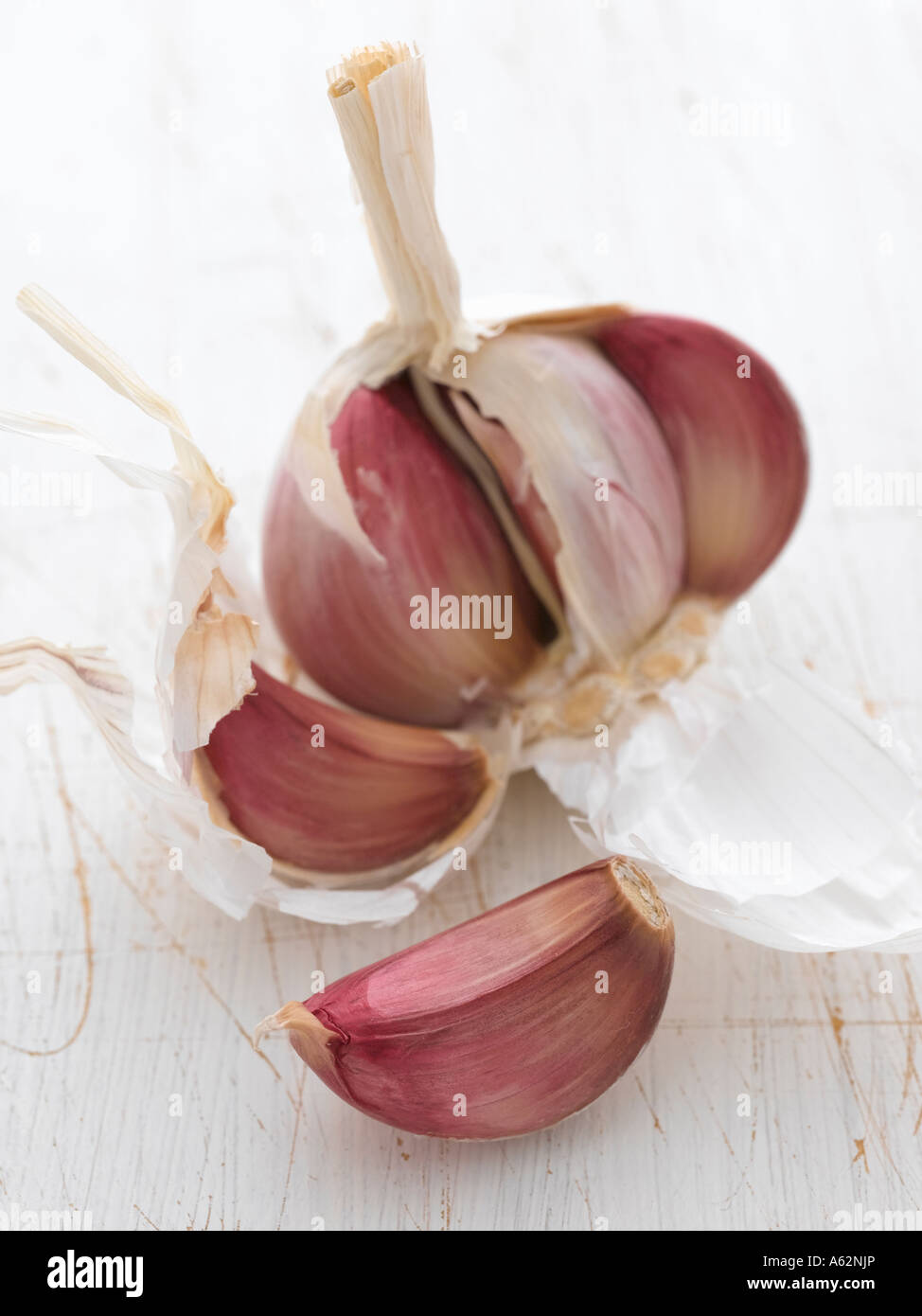 Garlic shot with professional medium format digital camera Stock Photo ...