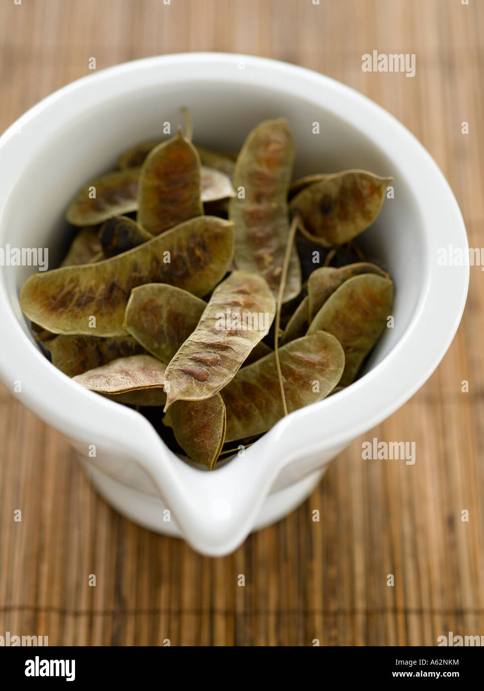 Senna pods shot with professional medium format digital camera Stock ...