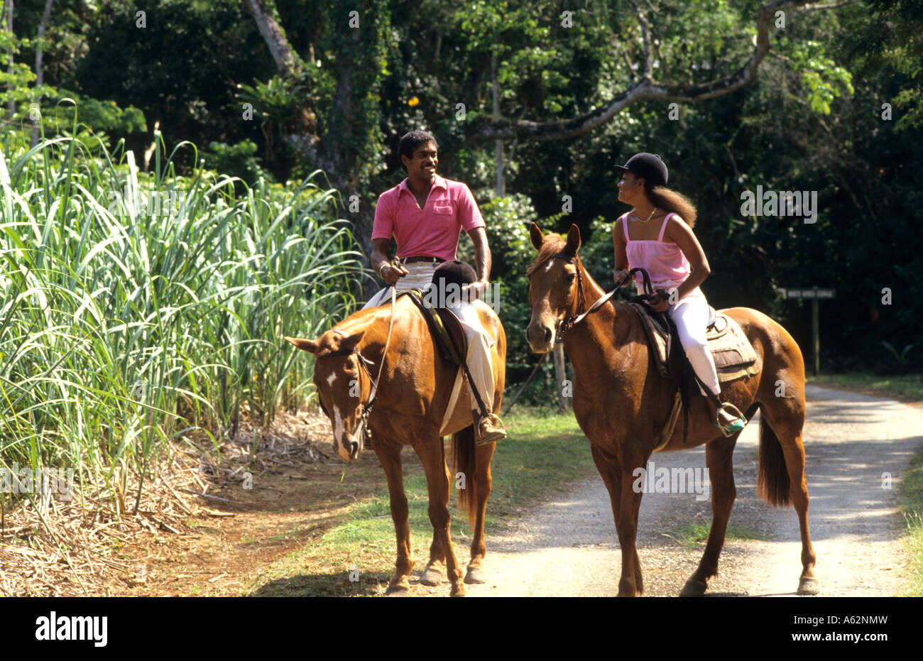Affluent black african american couple riding horses English style on ...
