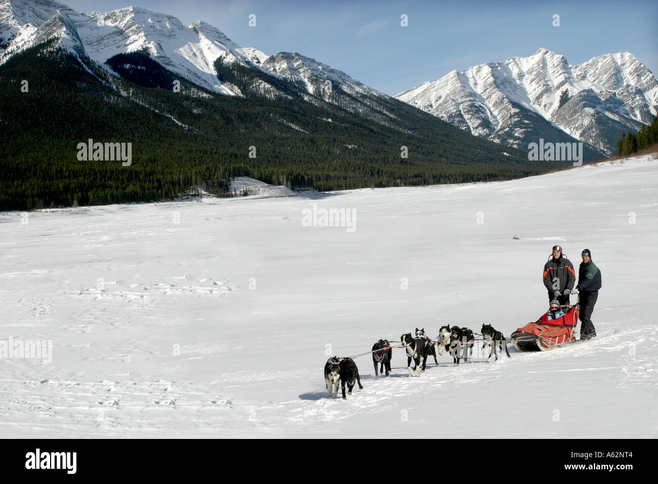 Sled dog sled sleigh skids hi-res stock photography and images - Alamy