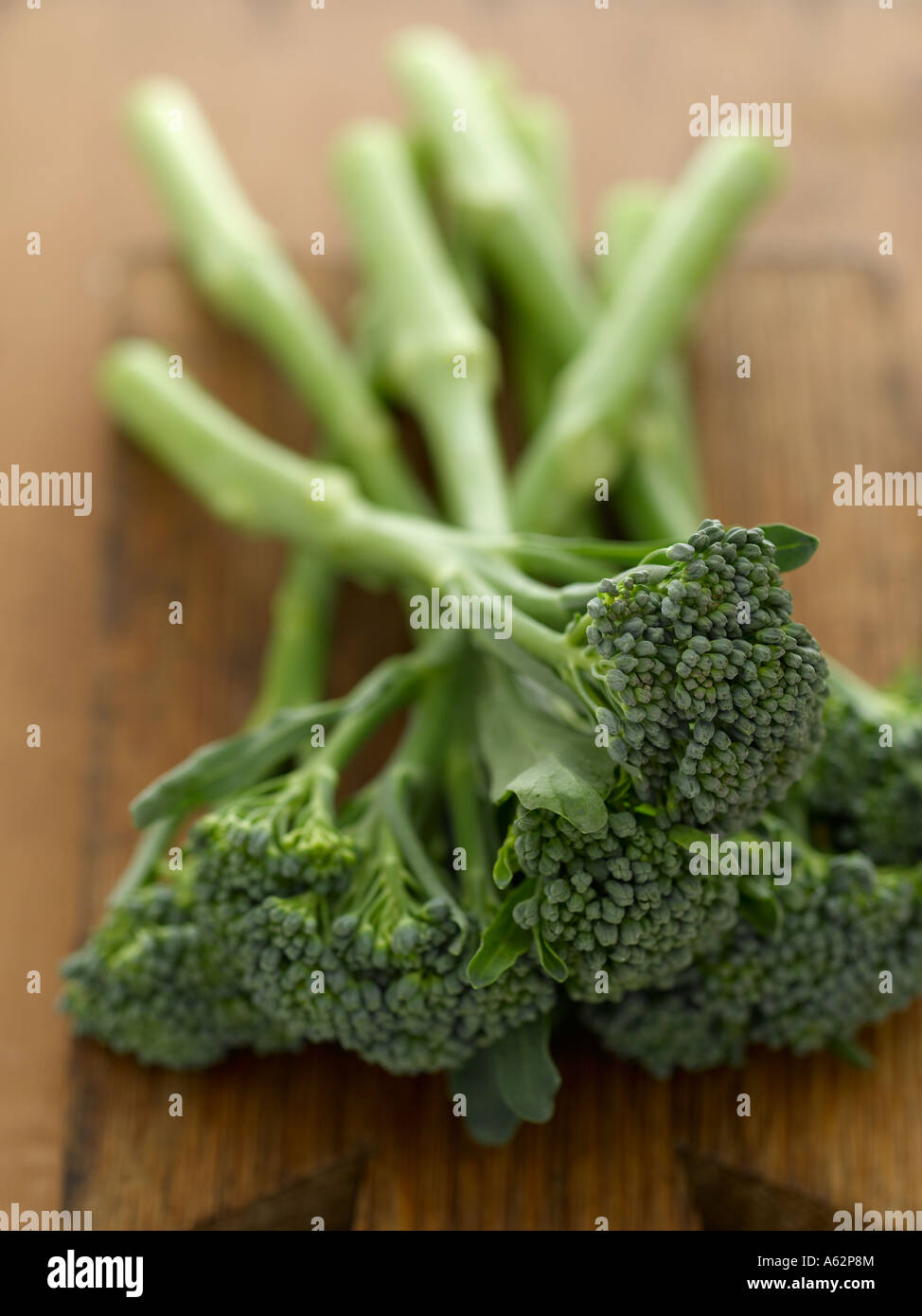 Still life broccoli shot with professional medium format digital Stock ...