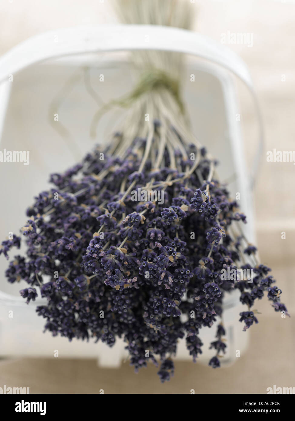Dried lavender stems hi-res stock photography and images - Alamy