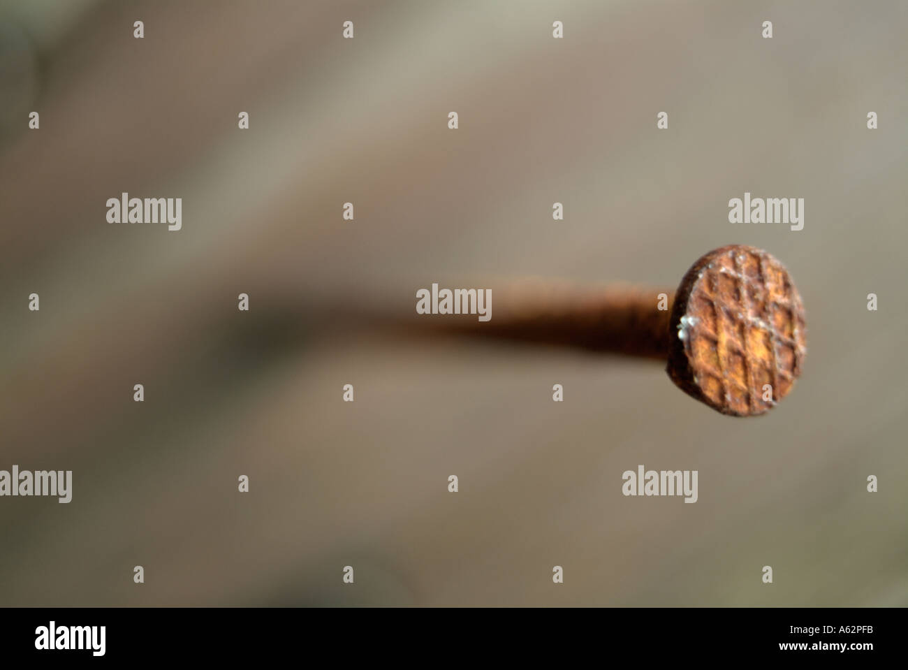 rusty nail head Stock Photo - Alamy