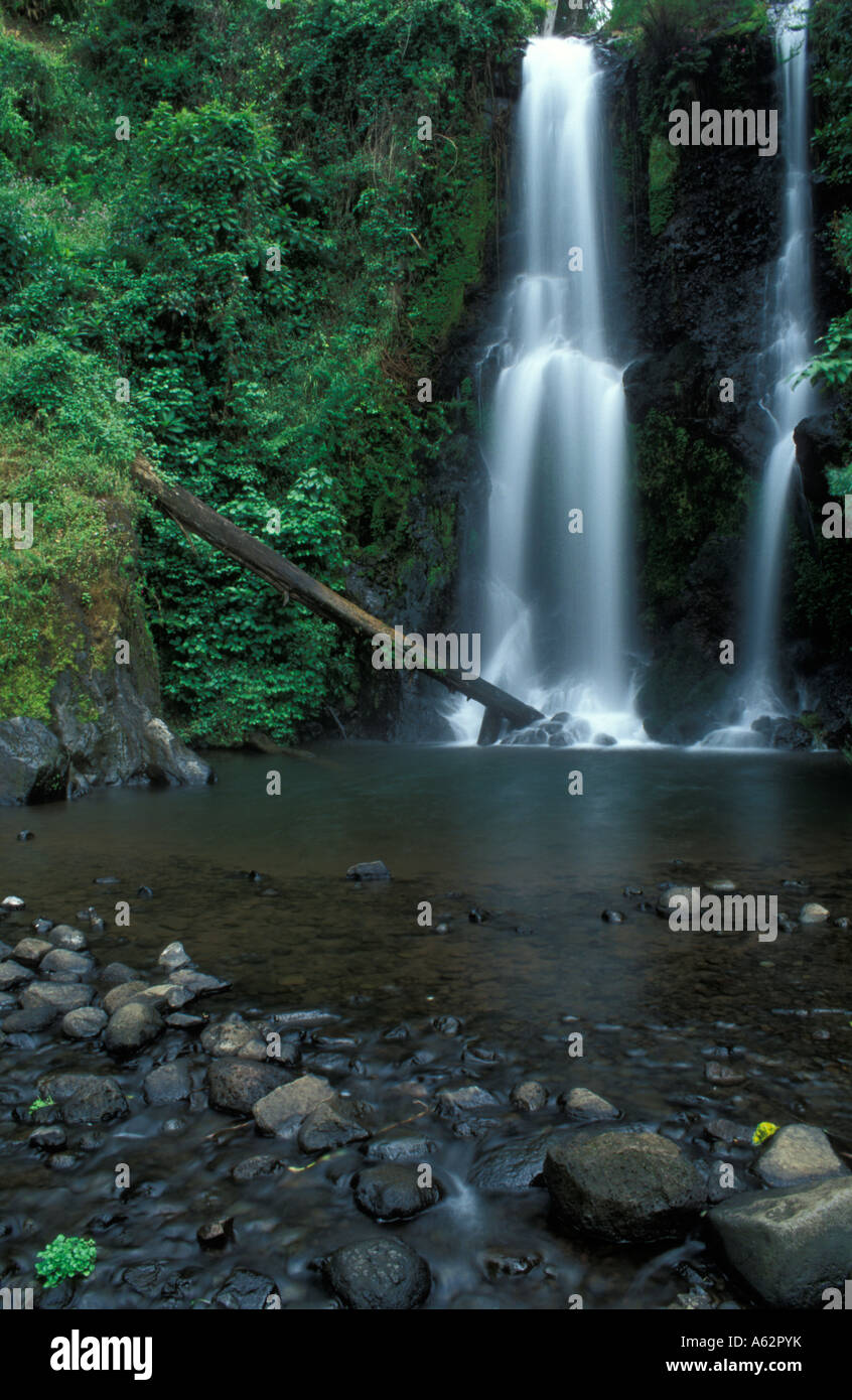 Waterfall on the footslopes of Mount Kilimanjaro Marangu Tanzania Stock ...