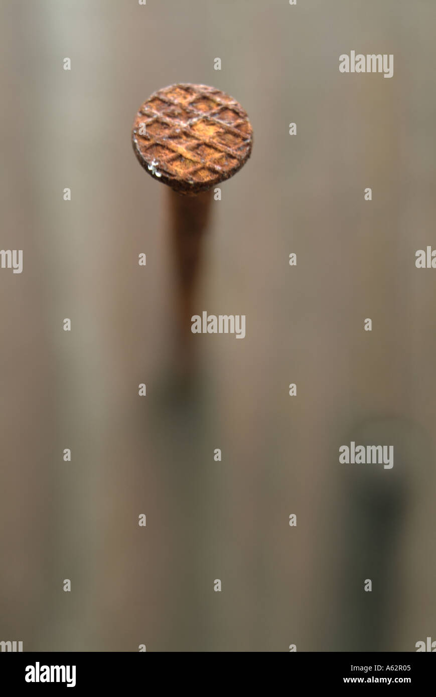Nail head hi-res stock photography and images - Alamy