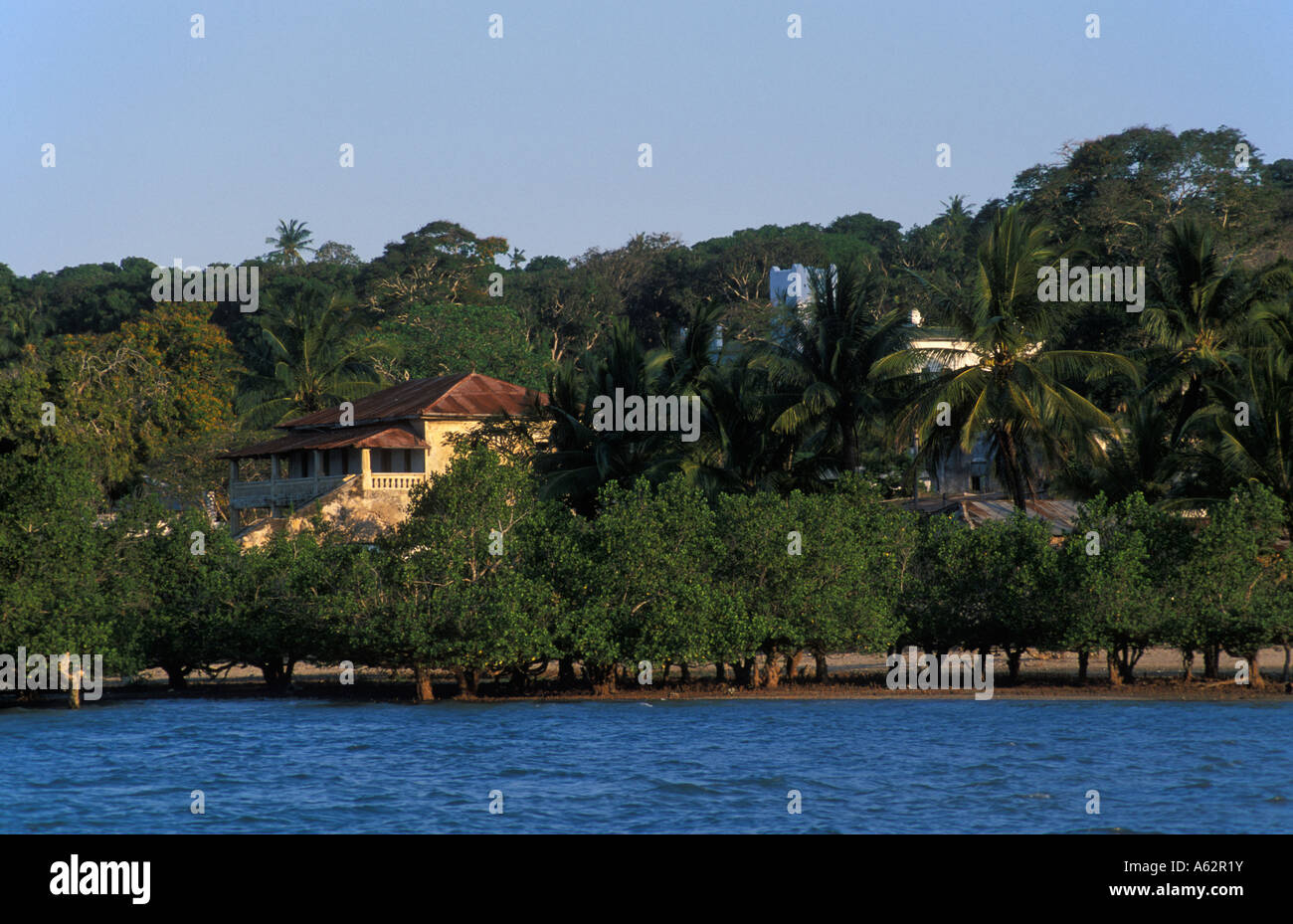 mangroves in the lagoon Mikindani waterfront South Coast Tanzania Stock ...