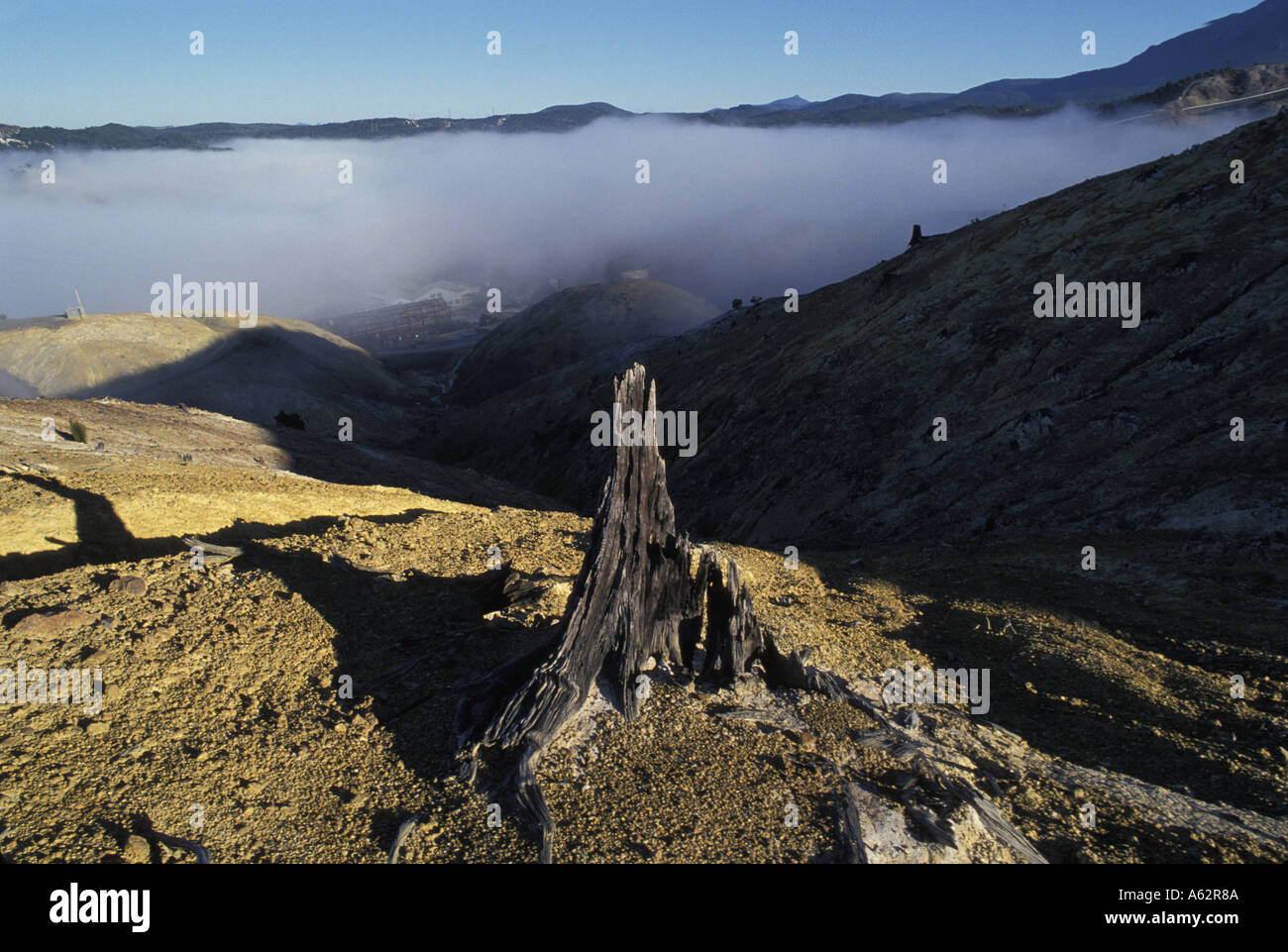 Australia Tasmania Lone tree stump in barren polluted hills above ...
